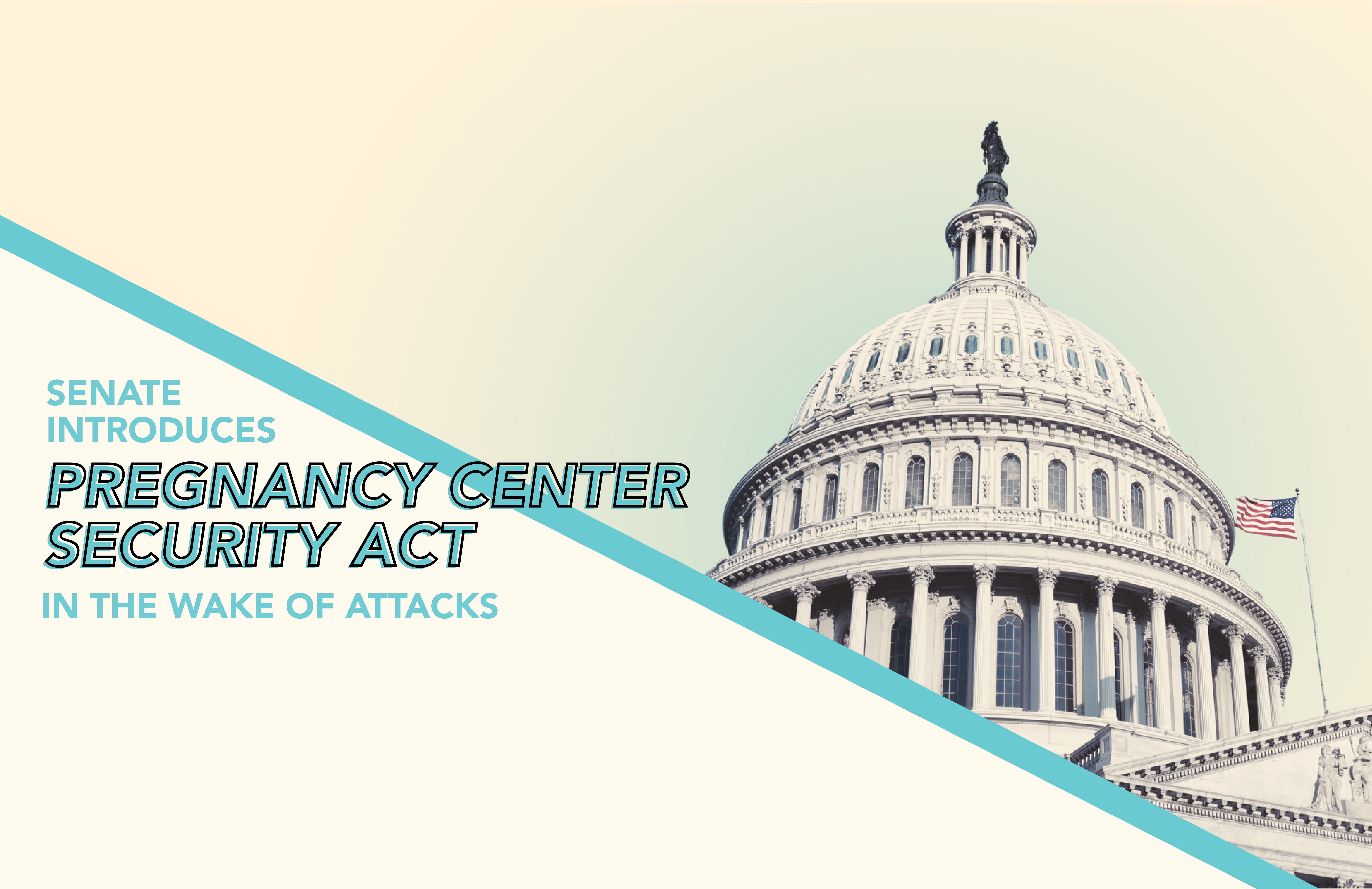 Senate Introduces Pregnancy Center Security Act In The Wake Of Attacks